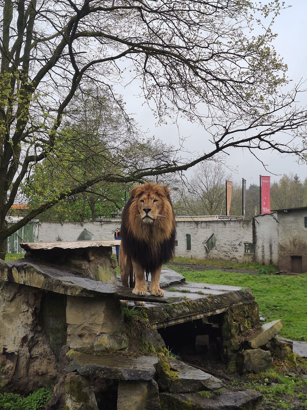Pakawi Park - Uit Met Kinderen