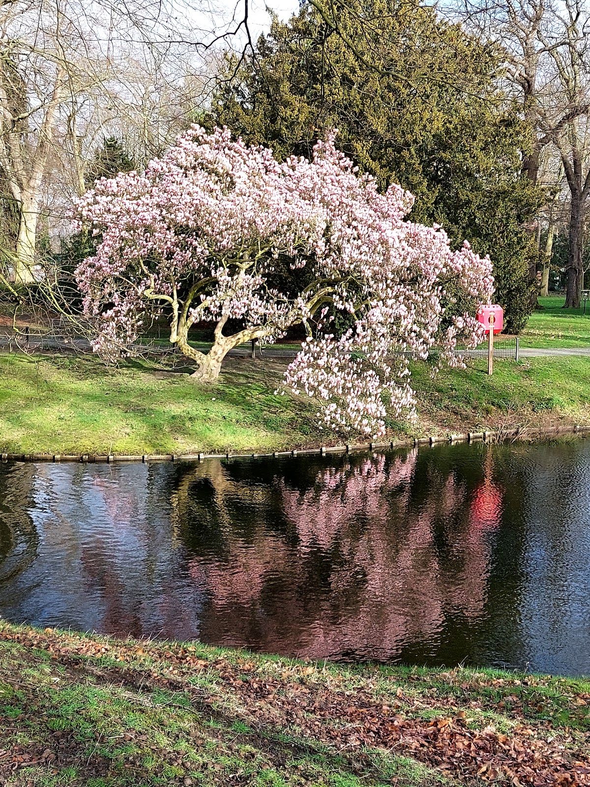Zwembad Park van Merksem - Uit Met Kinderen